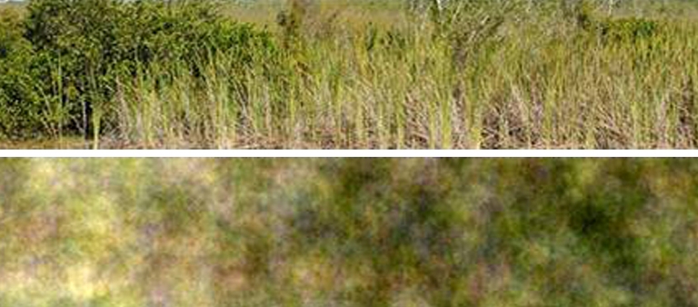 Fractal Camouflage – August Research Systems, Inc.