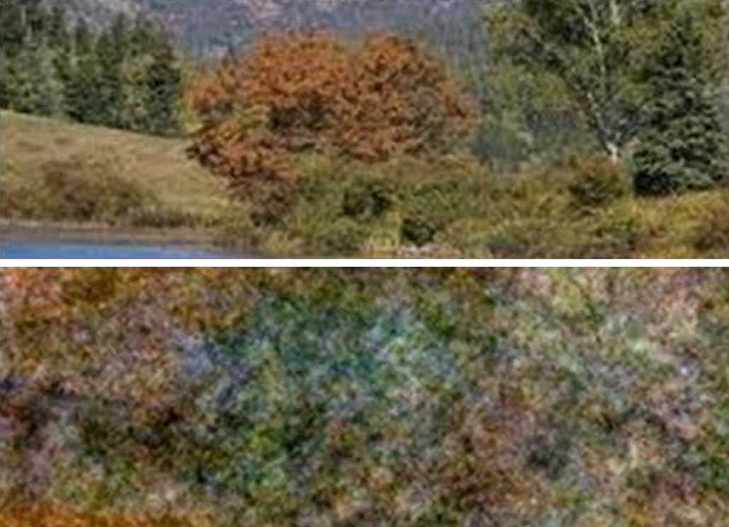 Fractal Camouflage – August Research Systems, Inc.