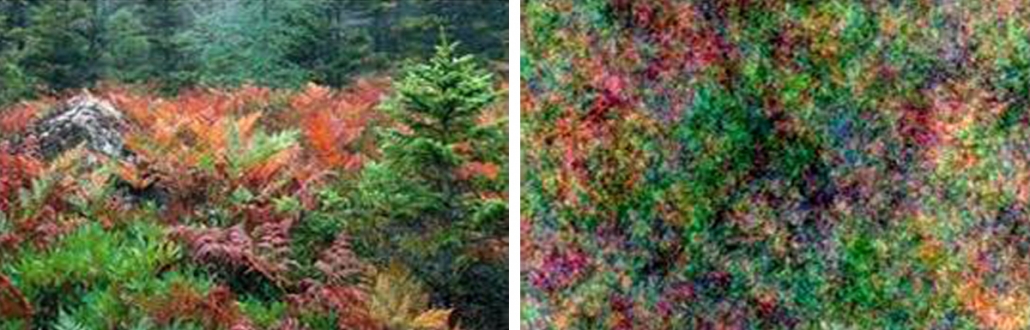 Fractal Camouflage – August Research Systems, Inc.